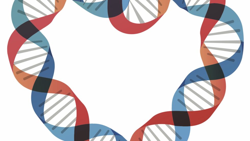 DNA Matchmaking, genetic testing and romantic chemistry - SoundRocket